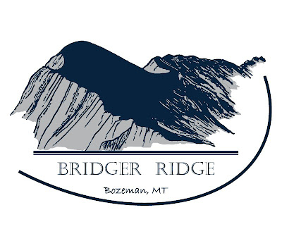 Northern Lights Trading Company: T-Shirt Designs