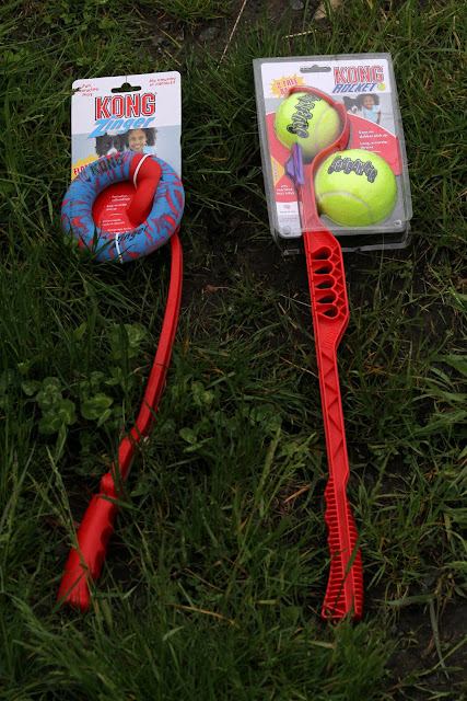 BCxFour: Ranger Reviews the Kong Zinger