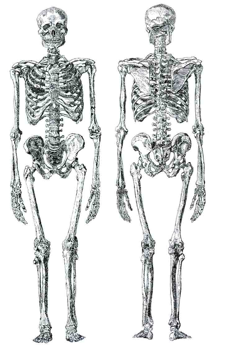 Faith Raspberry: skeleton