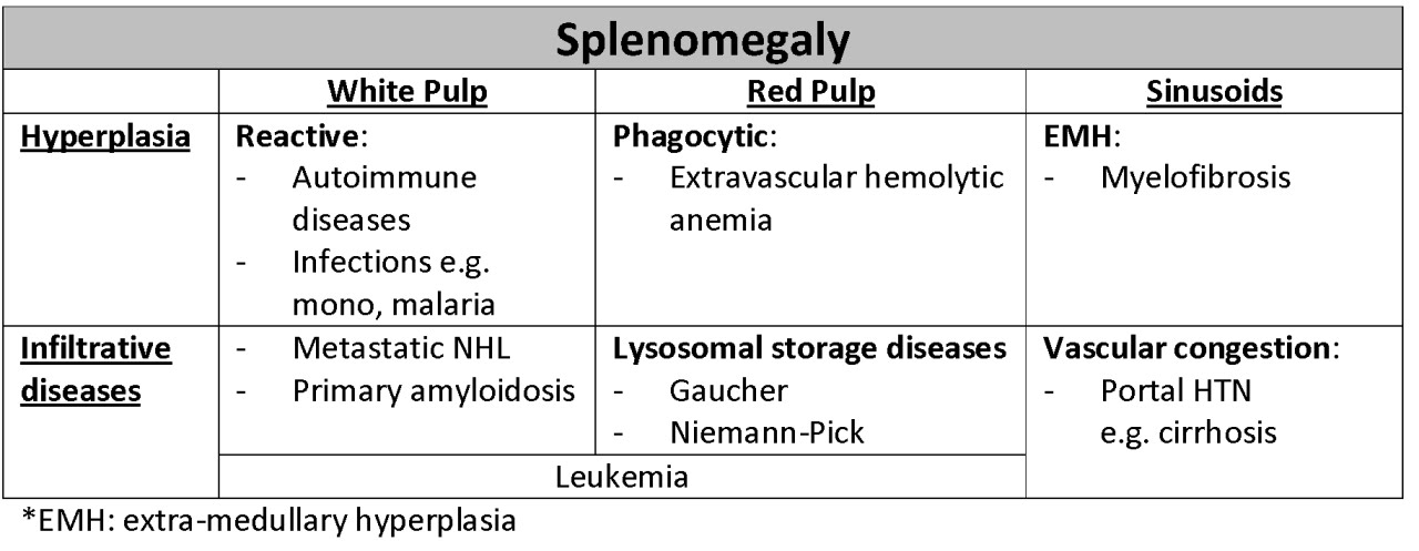 USMLE Boot Camp: Splenomegaly