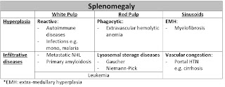 USMLE Boot Camp: Splenomegaly