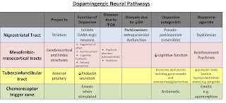 USMLE Boot Camp: Dopamine and Serotonin