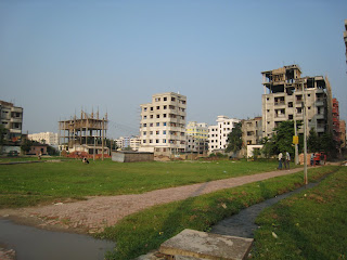 Natural Pictures: Pictures of Banasree, Dhaka