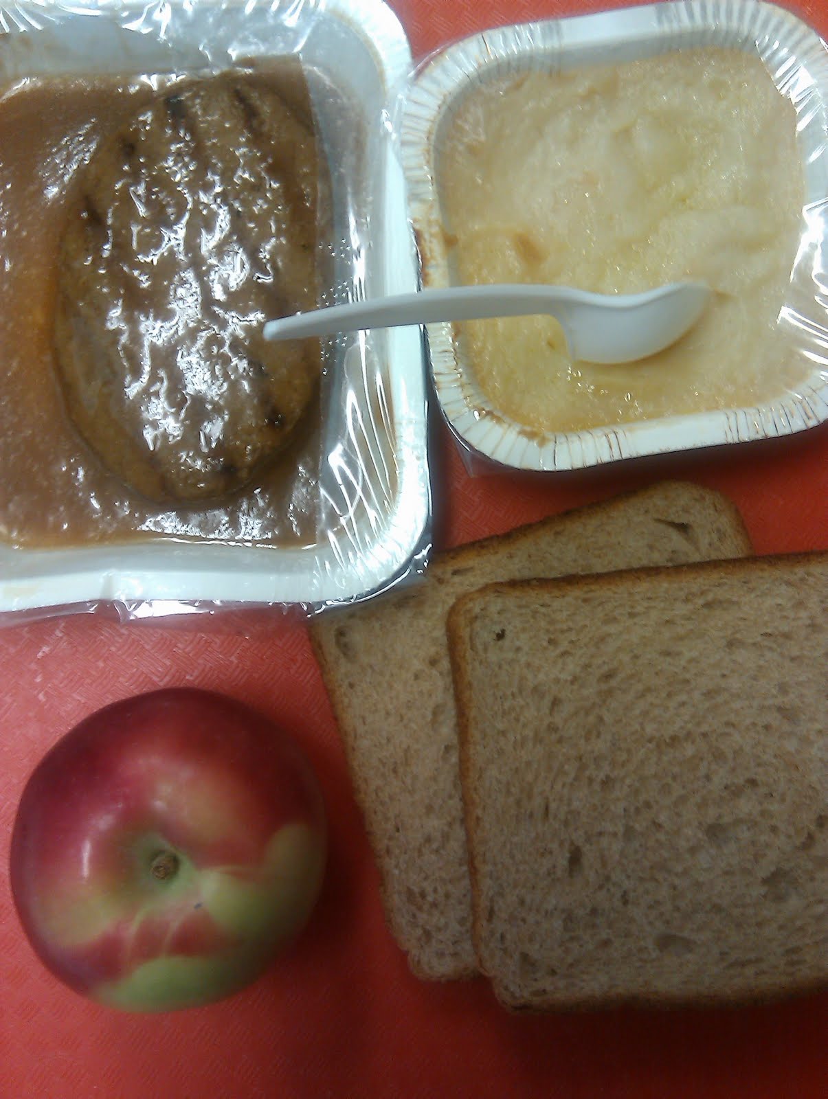 Day 105: salisbury steak | Fed Up With Lunch