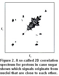 Sandwalk: Nobel Laureate: Richard Ernst