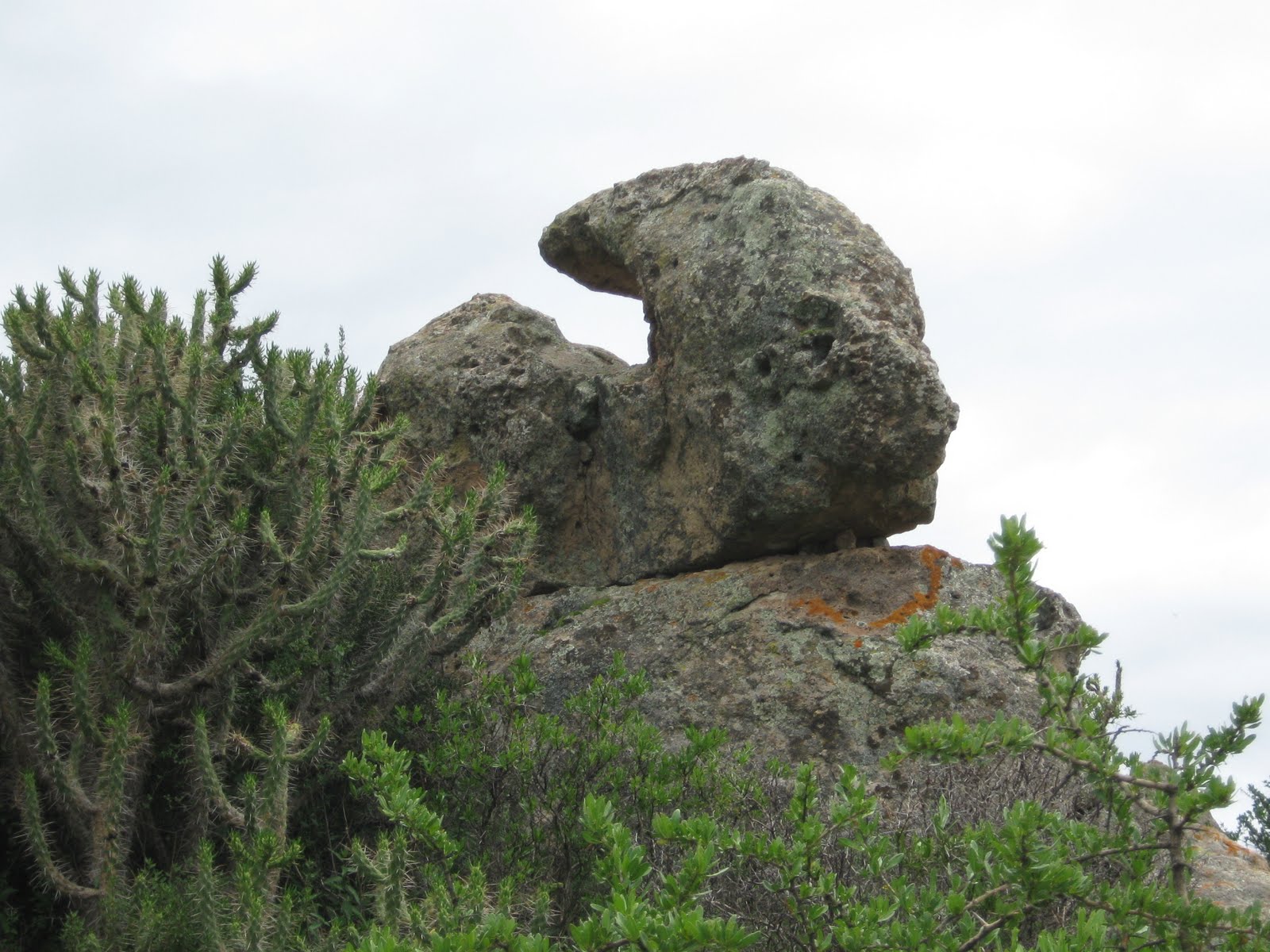 "La Villa Hermosa de las Retamas": SANTA CRUZ PATRON DE LA CIUDAD DE ...