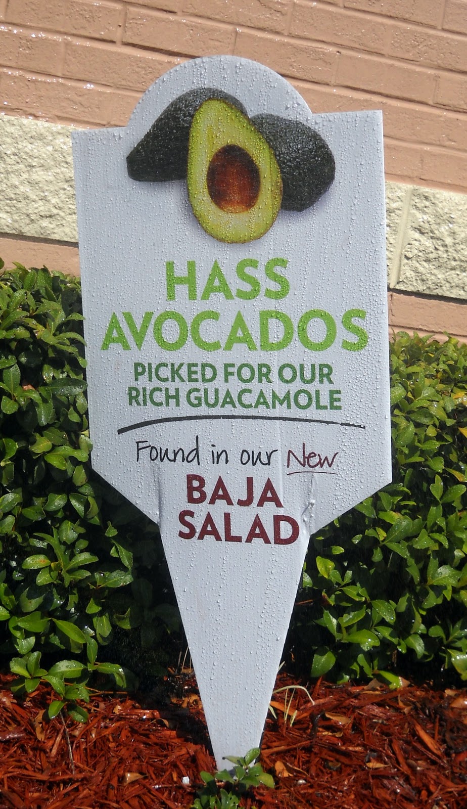 From Tracie: Avocado and a Frosty. Enough Said