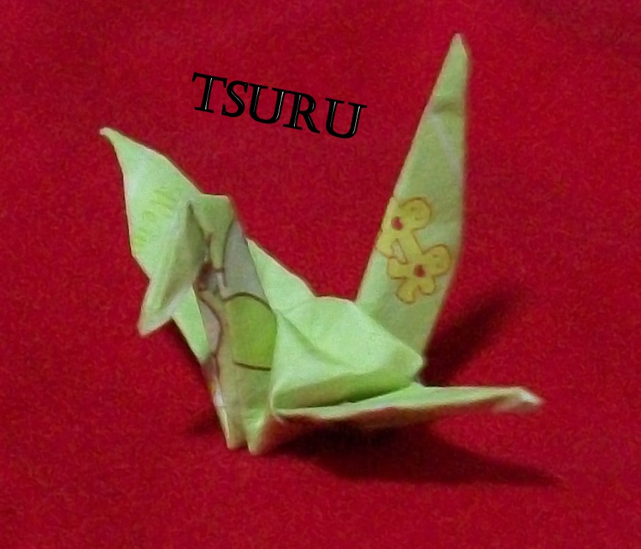 Diário de Isabel: Meus Tsurus