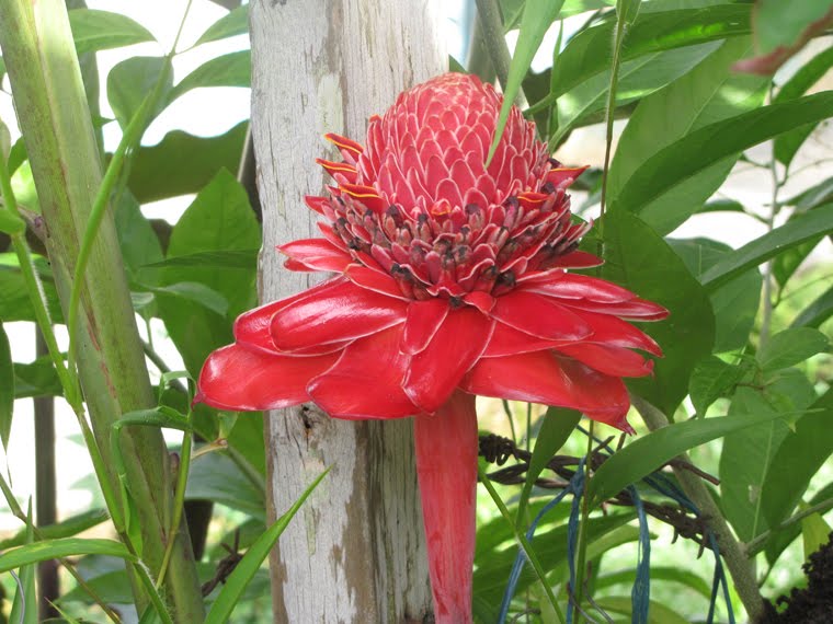 Escuela Audiovisual Infantil: Ejercicios de fotografia - Juan Carlos Silva