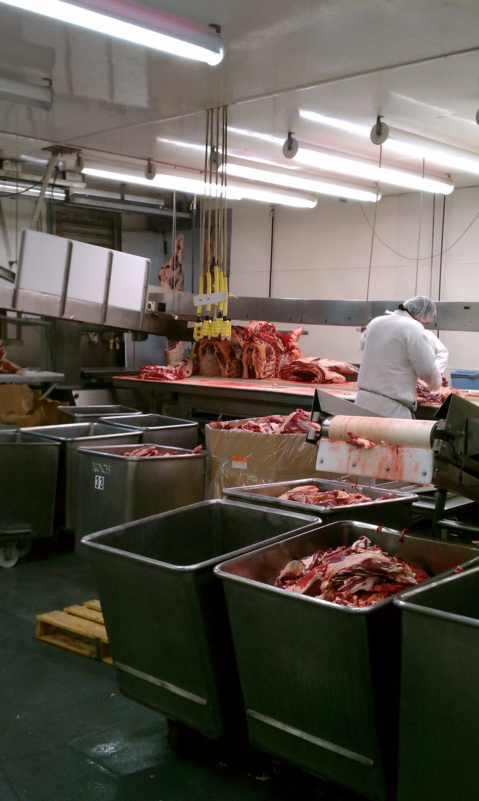 A Good Cadence: Volunteering at the Meat Packing Plant