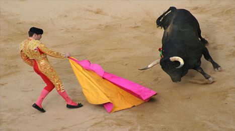 Acquisitions of an Aesthete: Matador Suit of Lights