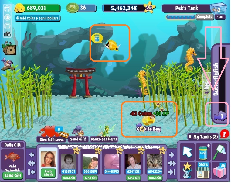 Lynspirations: FishVille - Fish Mastery : Longnose Butterfly