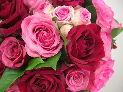 Peppertree Floral | Blog