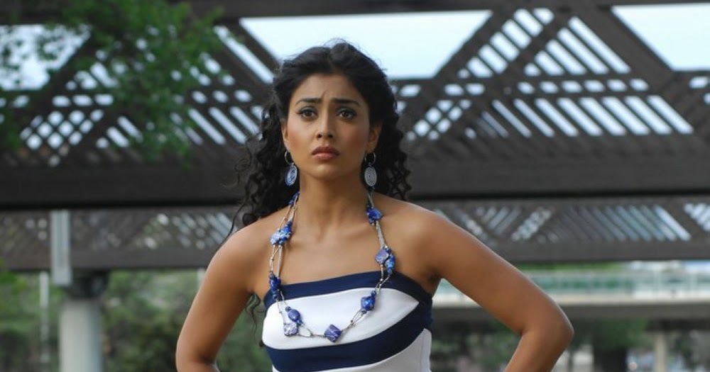 Indian Celebrity Sexy Girls Shriya Saran Telugu Don Seenu New Stills