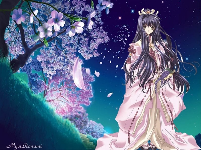 Anime Pictures Zone: Anime Girl - Princess