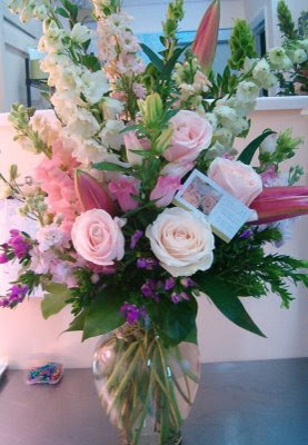 the painted primrose: March 2009