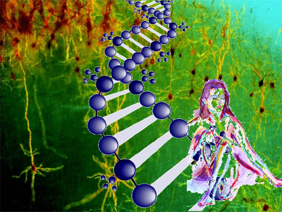 AGROECOLOGIA: Diversidad Genética