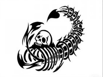 Best Art Graffiti: GRAFFITI SKETCHES SCORPION DESIGN WITH 3D EFFECT ON ...