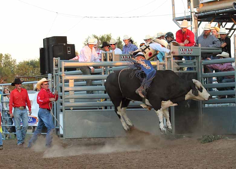 Rene Heil - Ranch Photographer: Bull Ride & Bull Riders...Beaver, Oklahoma