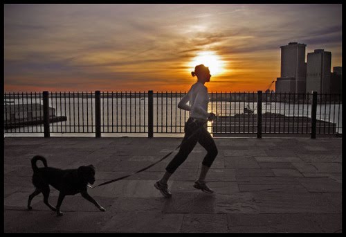 Both offer fantastic views of the Hudson River and will give you that ...