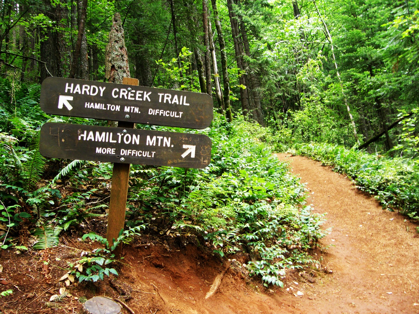 Mix Tape Photography: Hamilton Mountain Hike, Oregon 9/10/10: Olympus ...