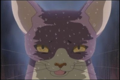 Princess Tutu: Mr. Cat