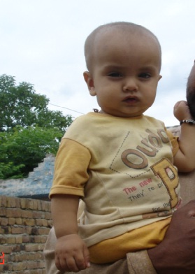 Shinka1-kids-pix-blog