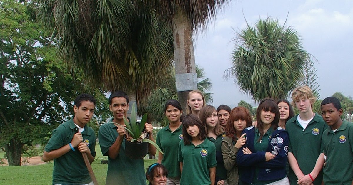 ENO Tree Planting Day 2010: Ramey Schools Tree Planting Photos, PUERTO ...