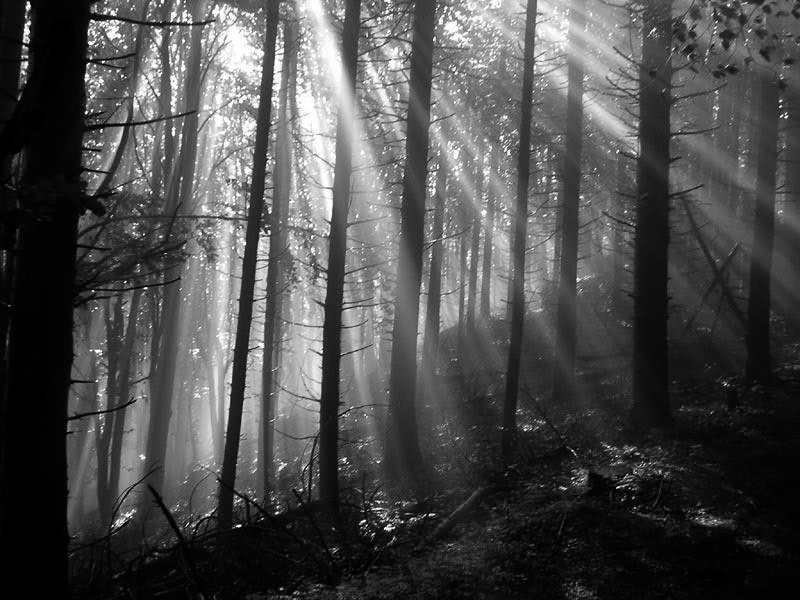 SILVIO: SCALA ACROMATICA