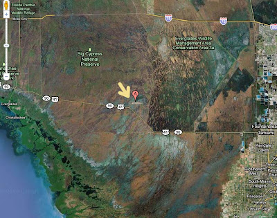 EYE ON MIAMI: Everglades Jetport / Dade Collier Training Facility ...