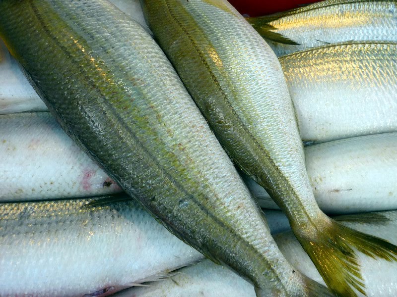 vinograd: Fish market: Bugva