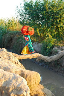 Parkari Kolhi in Pakistan: About Parkari Kolhi