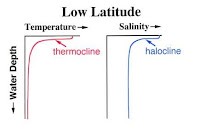 What Is This?: All you ever wanted to know about biological ...