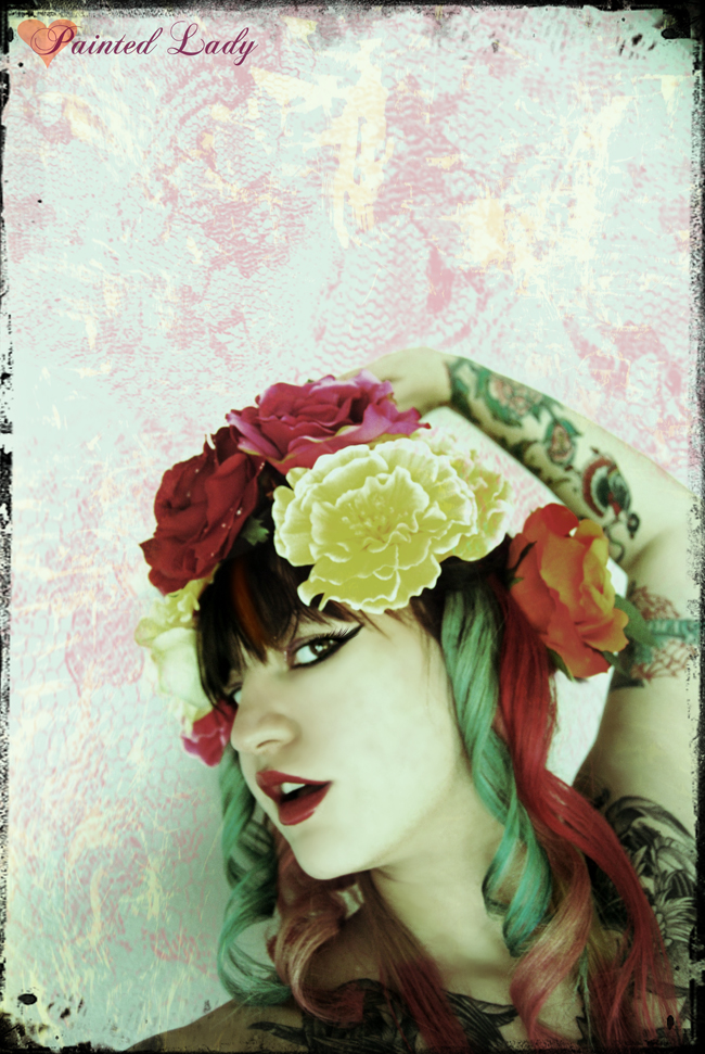 Painted Lady Photography & Artwork