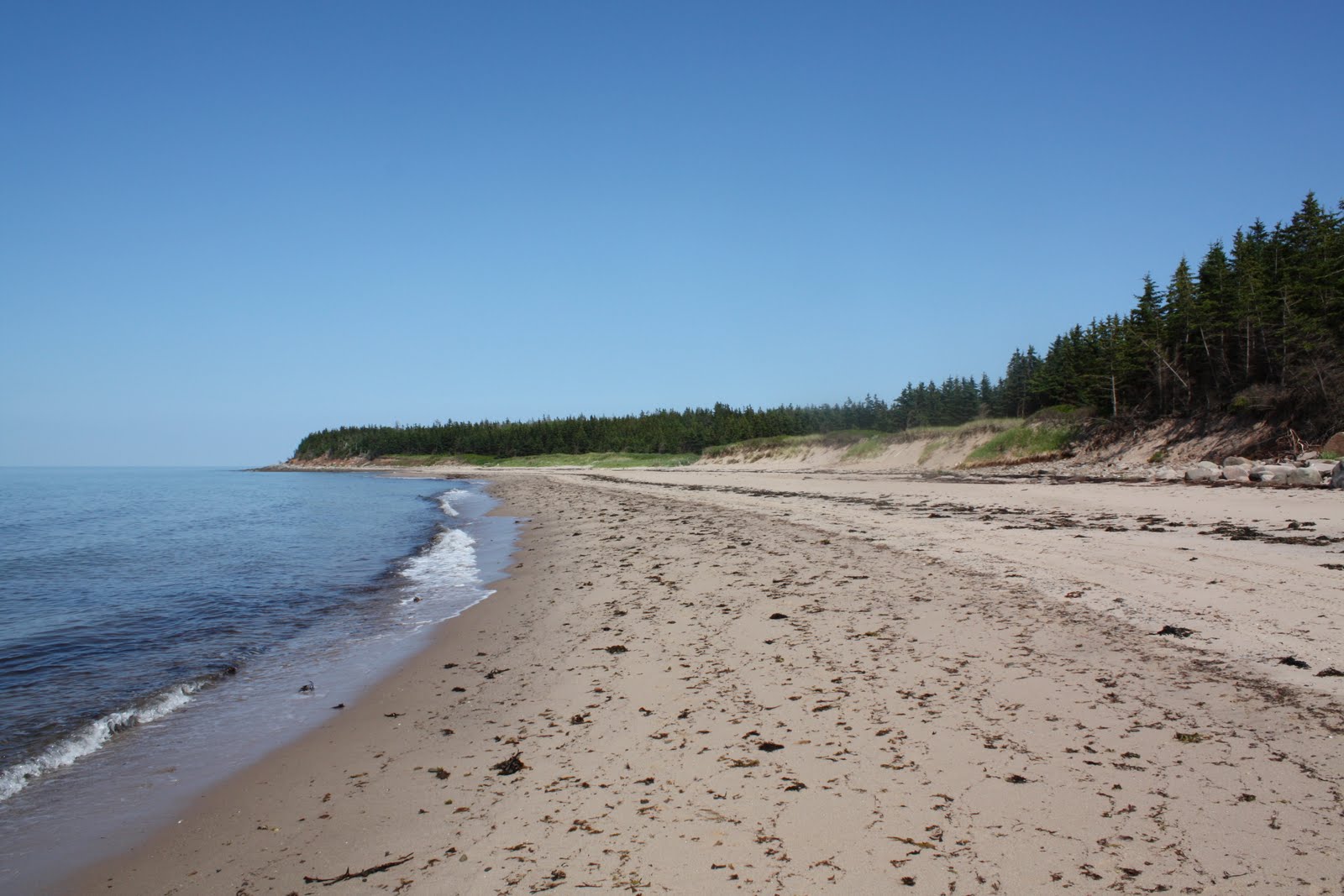 North Shore Nova Scotia