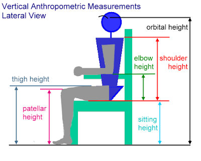 Tom Beech: Anthropemetric Considerations
