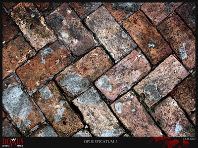 DOMUS project: Documentazione: opus spicatum