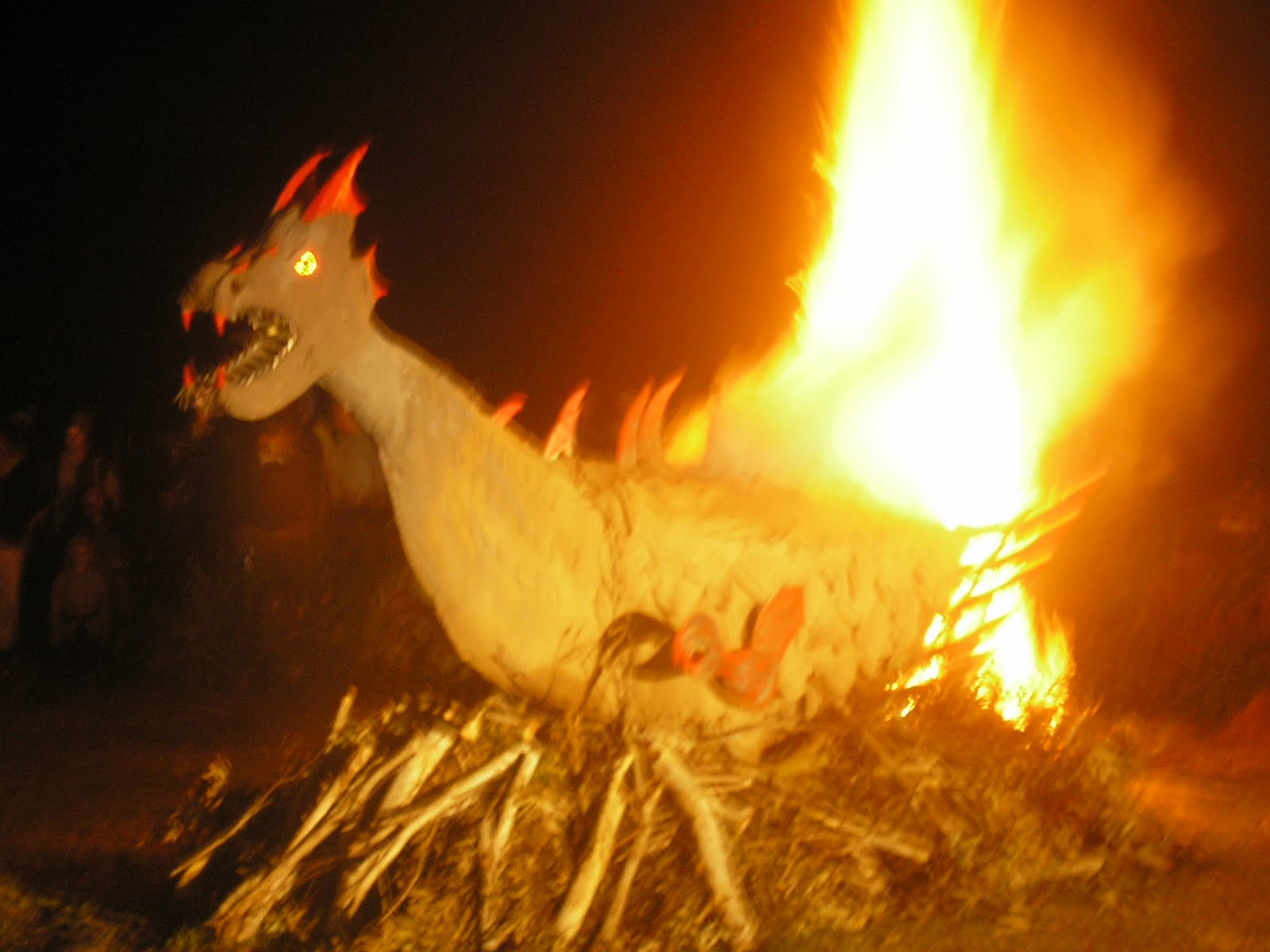 Whereiswitchwae?: Burning of the Dragon @ Medieval festival