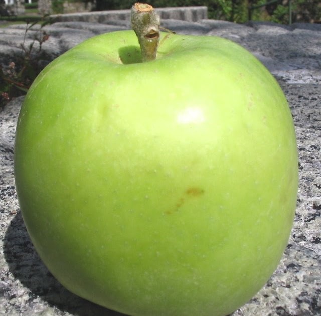 Mutsu (Crispin, Mitsu) * - Adam's Apples