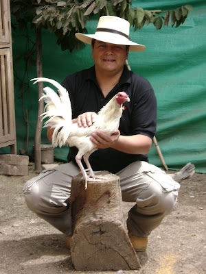 crias de bacho barriola