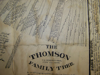 Thomson Family Tree