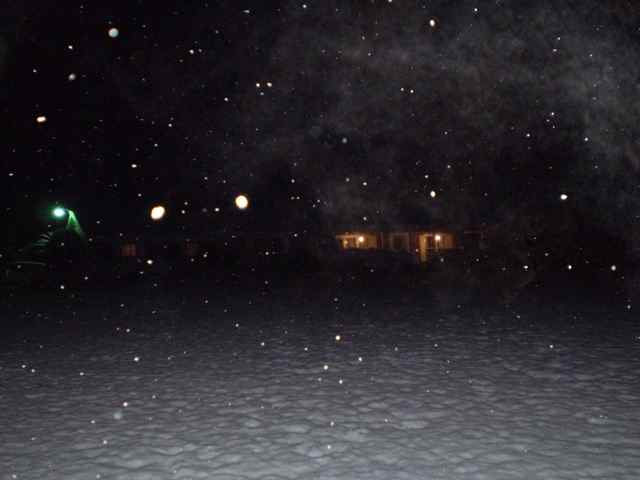 Peevish Pen: Snowy Night, Creepy Night