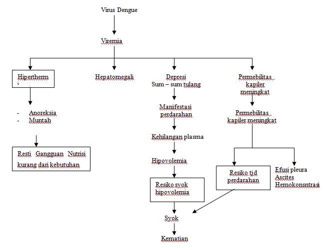 ASUHAN KEPERAWATAN DANGUE HAEMORAGIC FEVER (DEMAM BERDARAH)