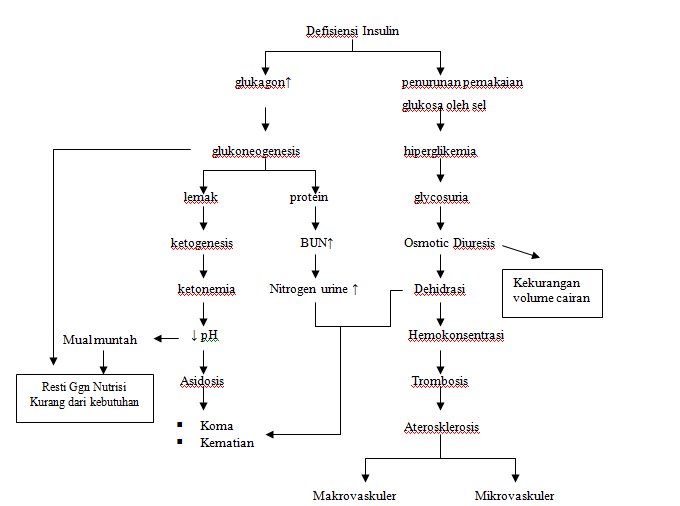 ASUHAN KEPERAWATAN DIABETES MELLITUS (DM)