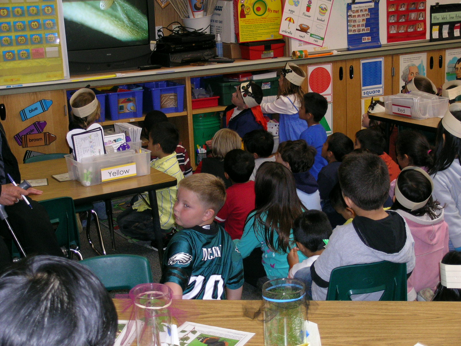 Berkeley Butterfly Blog: Sunset Ridge Elementary School