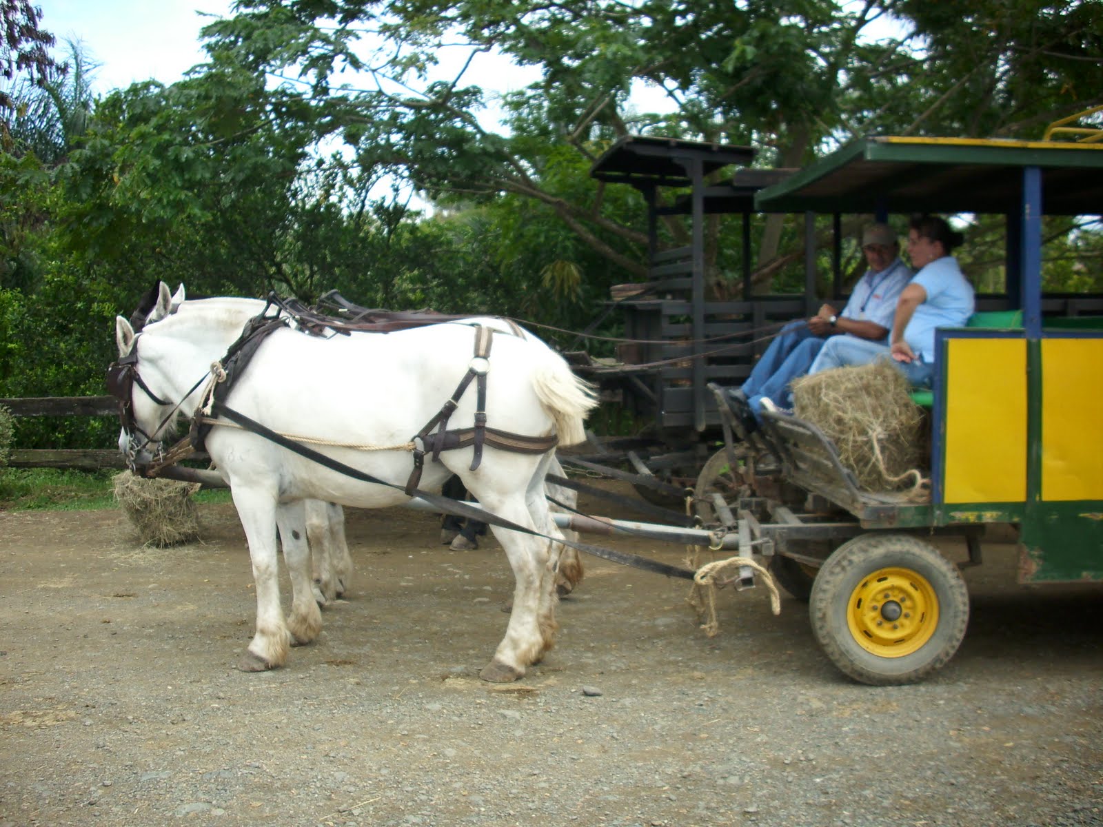 MUNDOMAGICO: Parque Panaca. Armenia Colombia