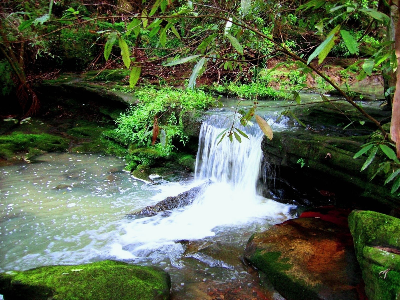 KJ - Kaye and Jose - Amazing Photos: Pretty creek in Sydney, Australia (2)