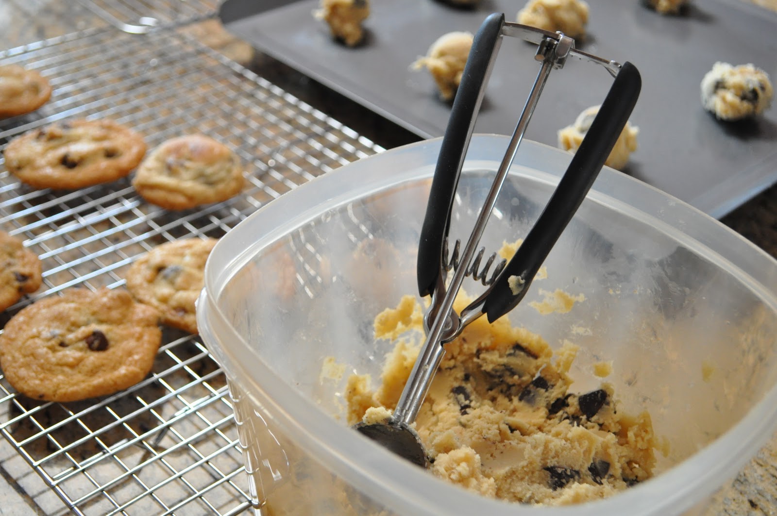 Kneading My Dream: Chocolate Chip Cookie Bake-Off