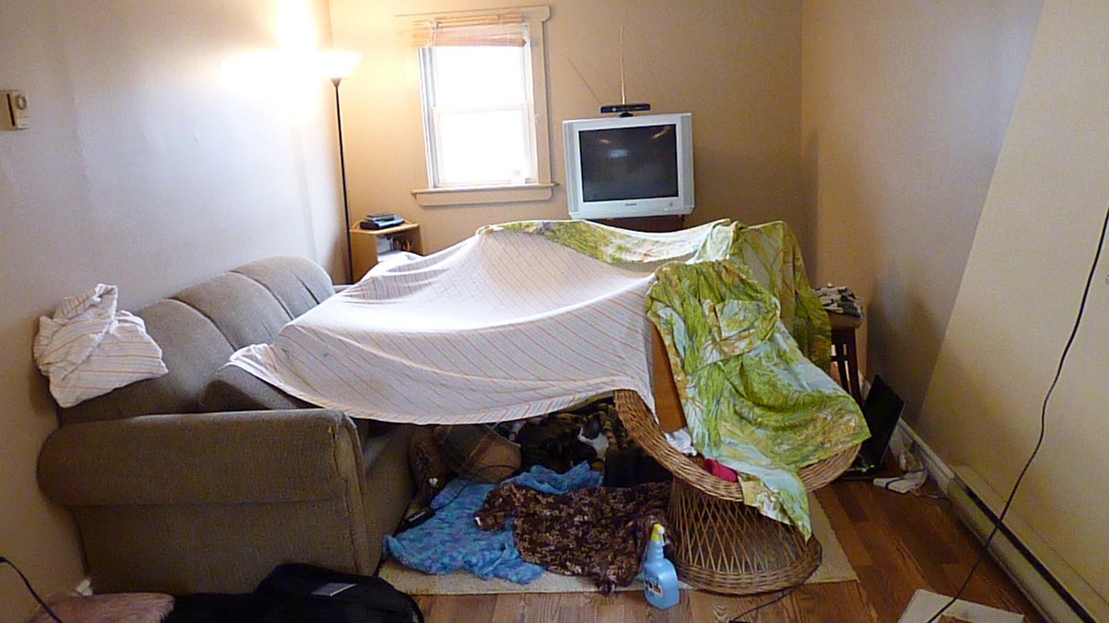 Sarah's Ramblin's: Blanket Fortress