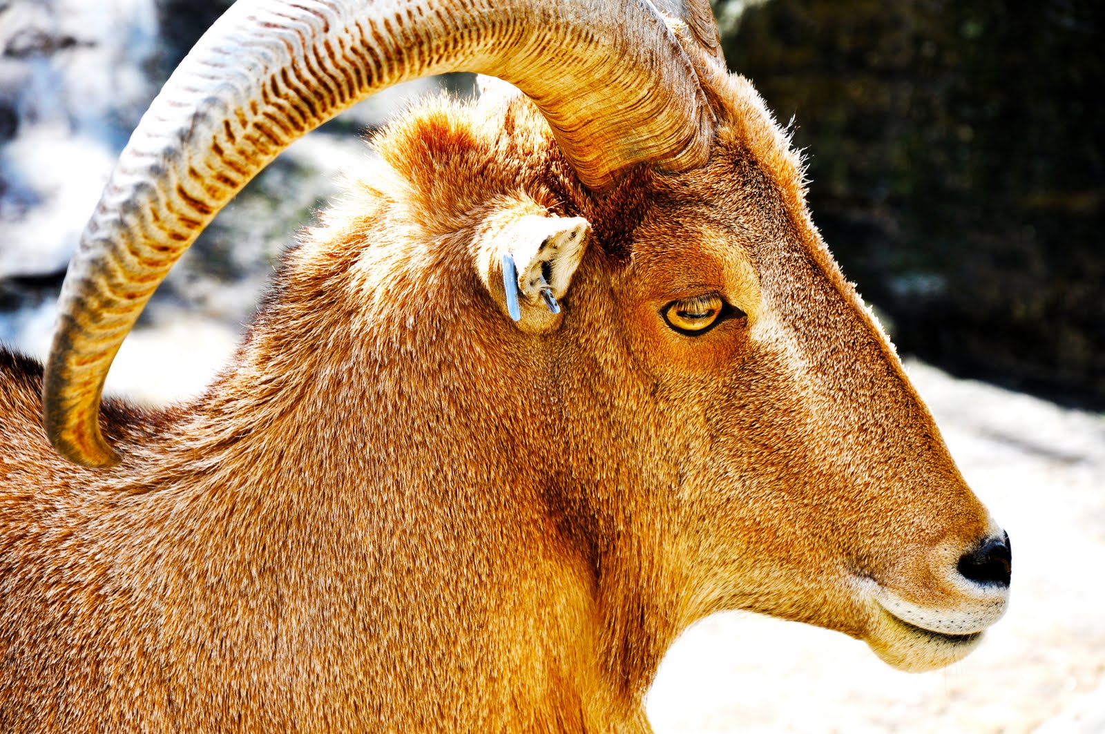 Sam Barker Photography: August 2010